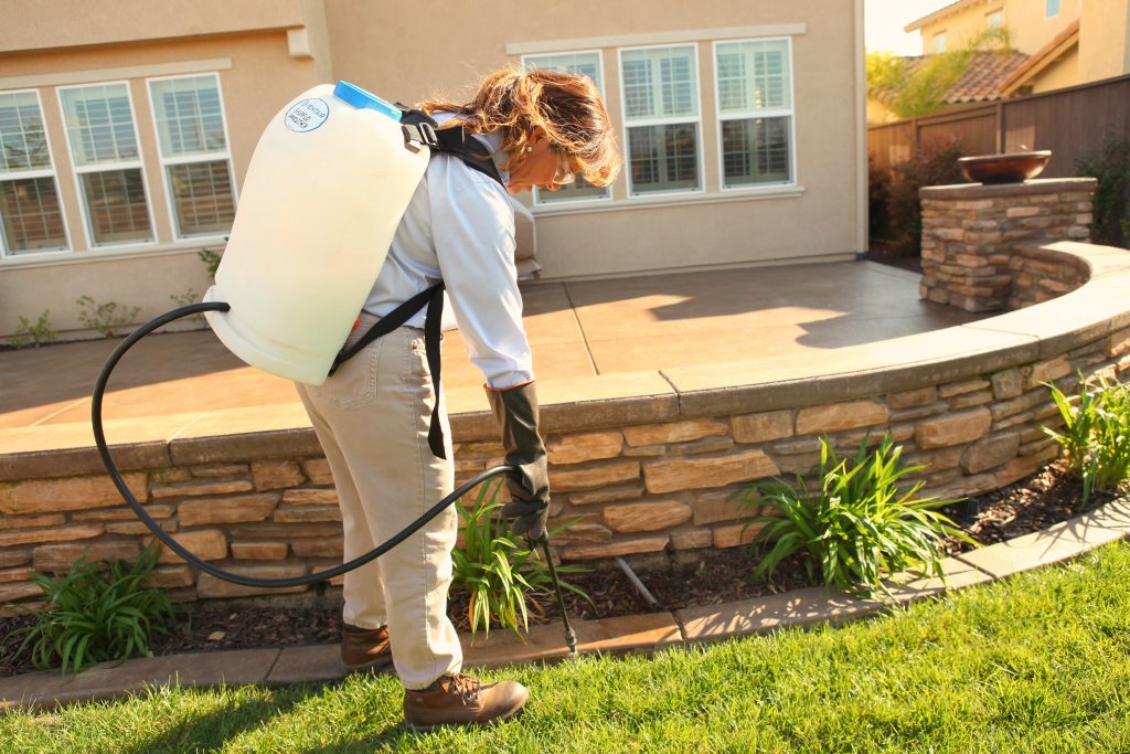 Pest Control Services Rocklin | United Pest Control
